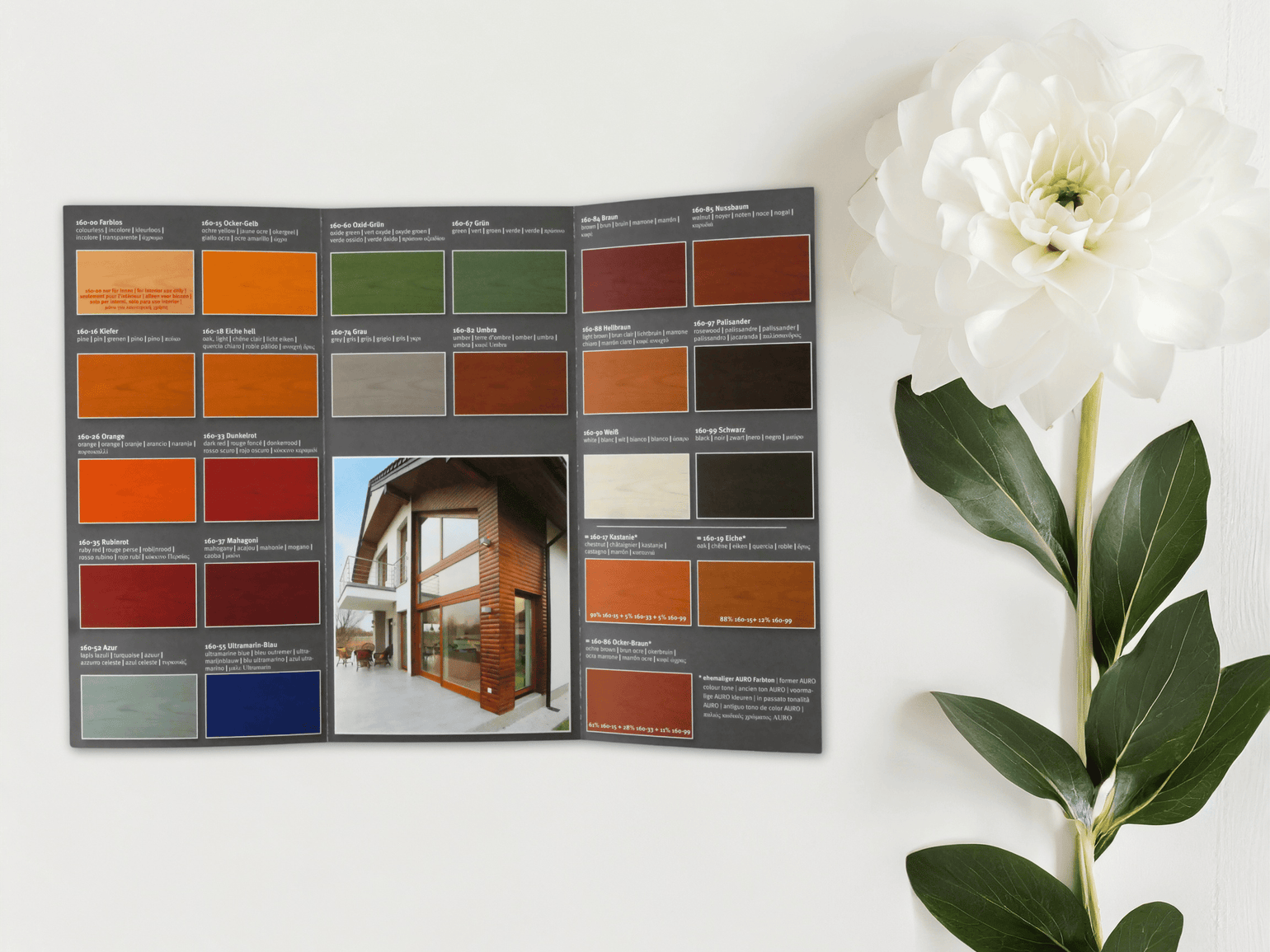 Auro 160 Woodstain for Interior & Exterior (Colour Chart) | Greenshop ...