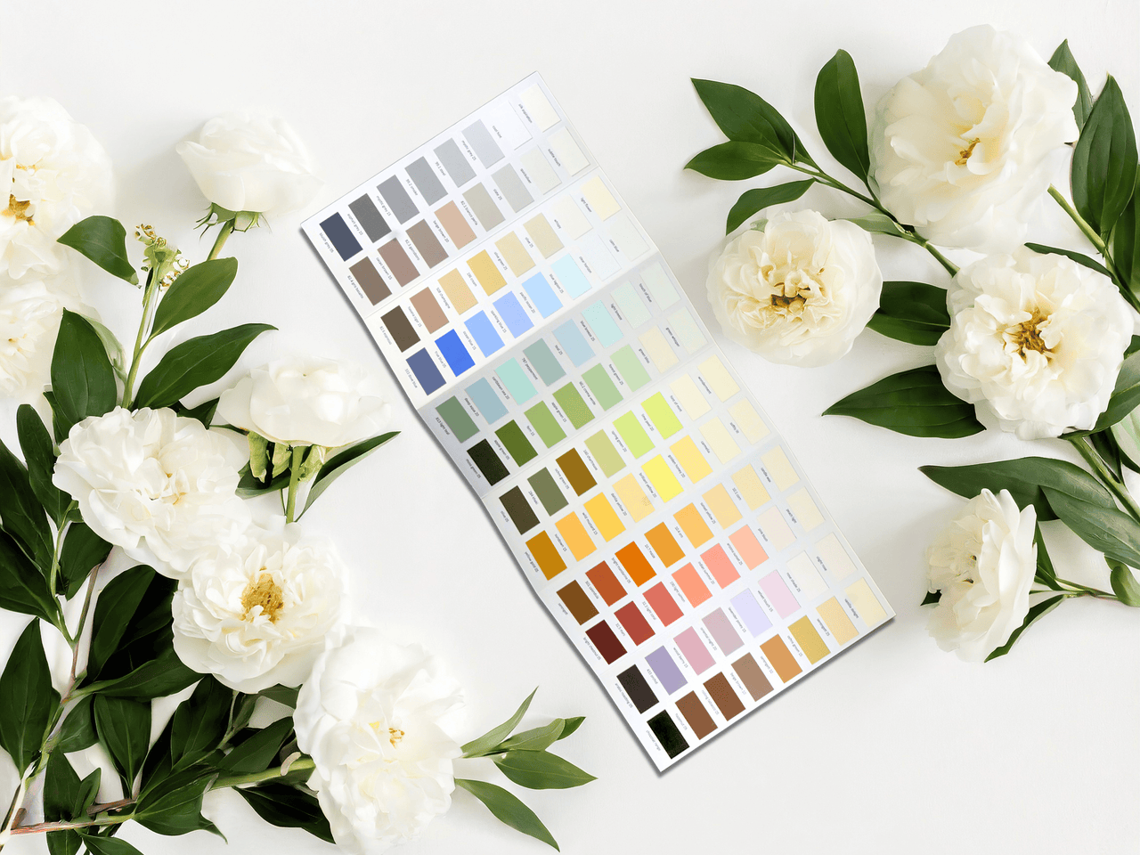Auro Paints Hand Painted Colour Chart | Greenshop Paints