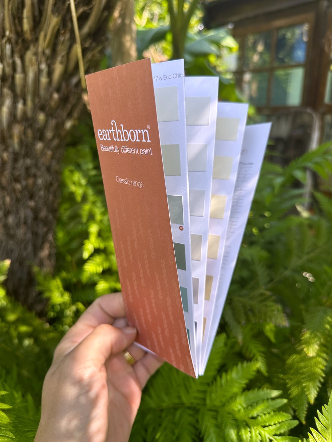Earthborn 'Classic Range' Colour Chart – Greenshop Paints