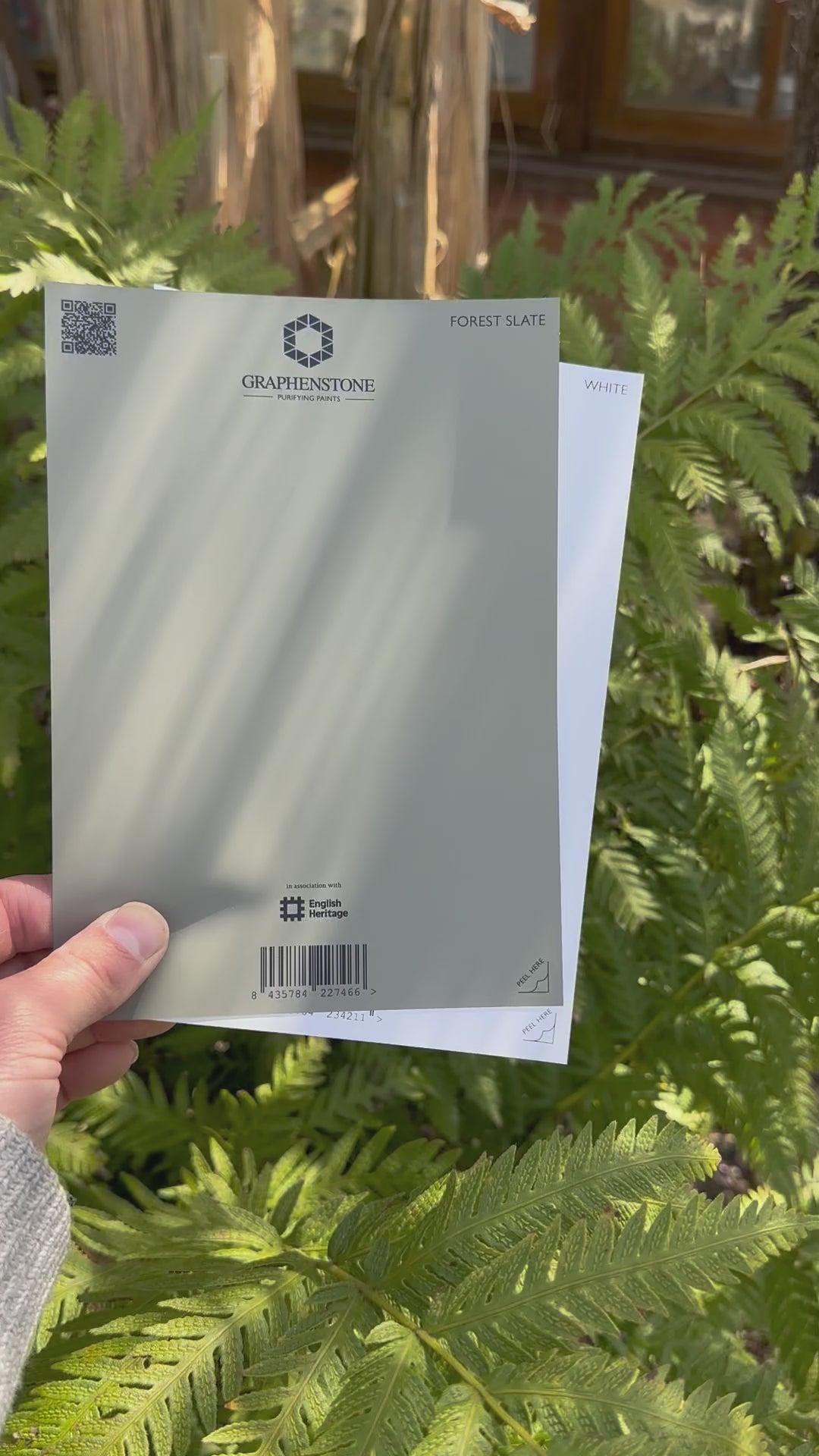 Forest Slate - Graphenstone Grafclean - Natural Mineral Based Paint ...