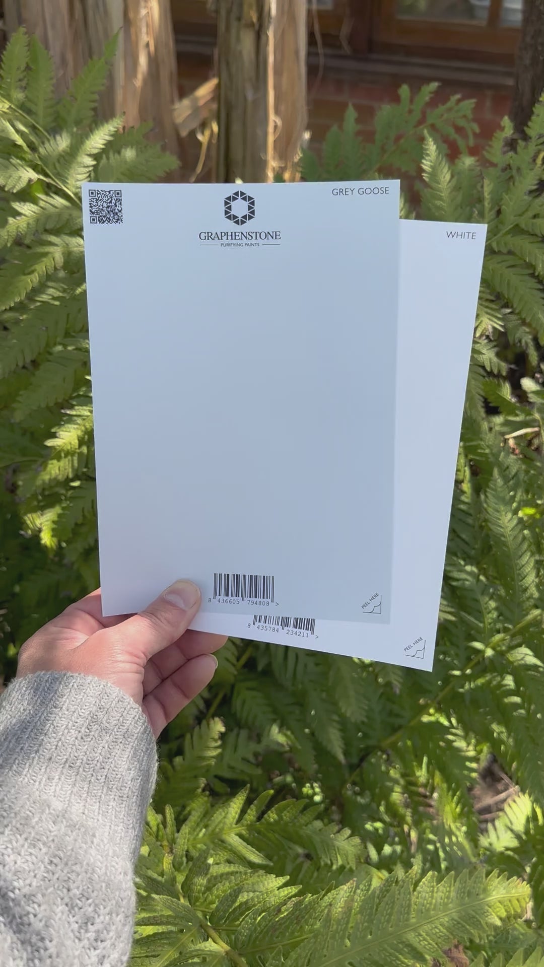 Grey Goose - Graphenstone Grafclean - Natural Mineral Based Paint ...